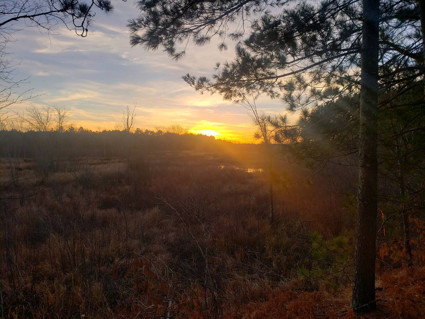River Cabin - Twin Rivers Resort